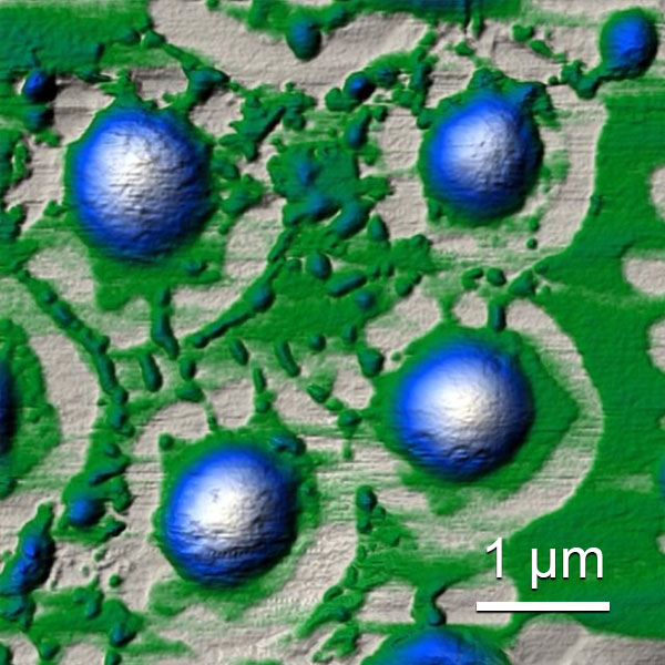 NTEGRA II – Modular SPM (AFM, STM) system | NT-MDT S.I.